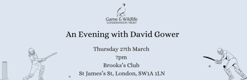 An Evening with David Gower - Live Auction Items