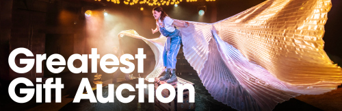 NYT Greatest Gift Auction - Home