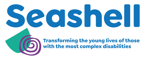 Strictly Seashell Movie Night - Silent Auction Ite…