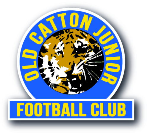 Old Catton Juniors Auction - Sign In
