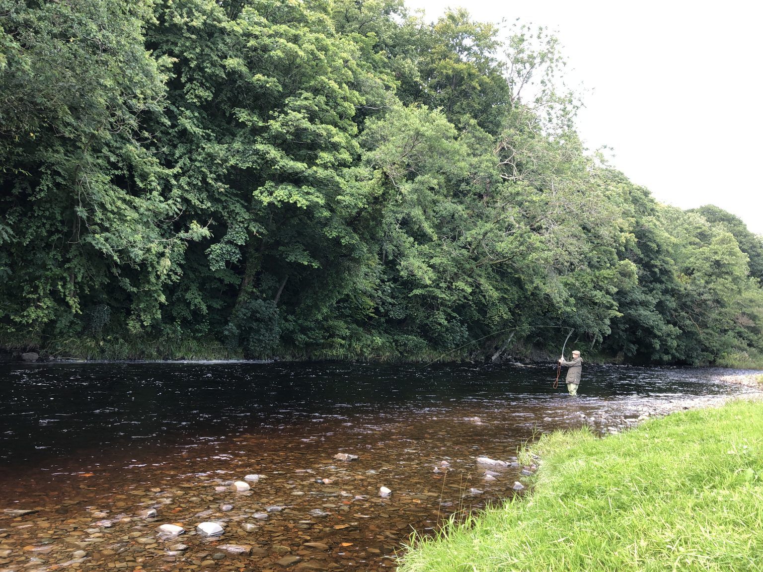 GWCT West of Scotland Dinner & Auction 2025 - Fish…