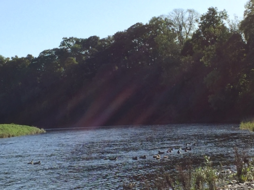 GWCT Scottish Auction 2025 - One week fishing, Riv…