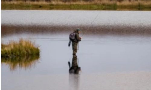 GWCT Scottish Auction 2025 - Pike and Trout fishin…