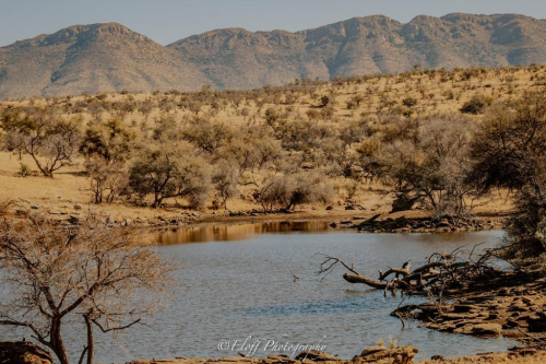 CIC General Assembly Doha 2025 - Namibian Safari A…